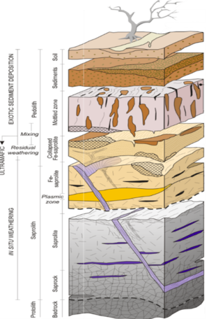 Geochemical Characterisation & Mineralogy at Mt Keith NiS deposit