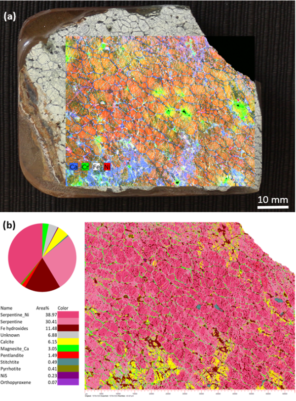 Geochemical Characterisation & Mineralogy at Mt Keith NiS deposit